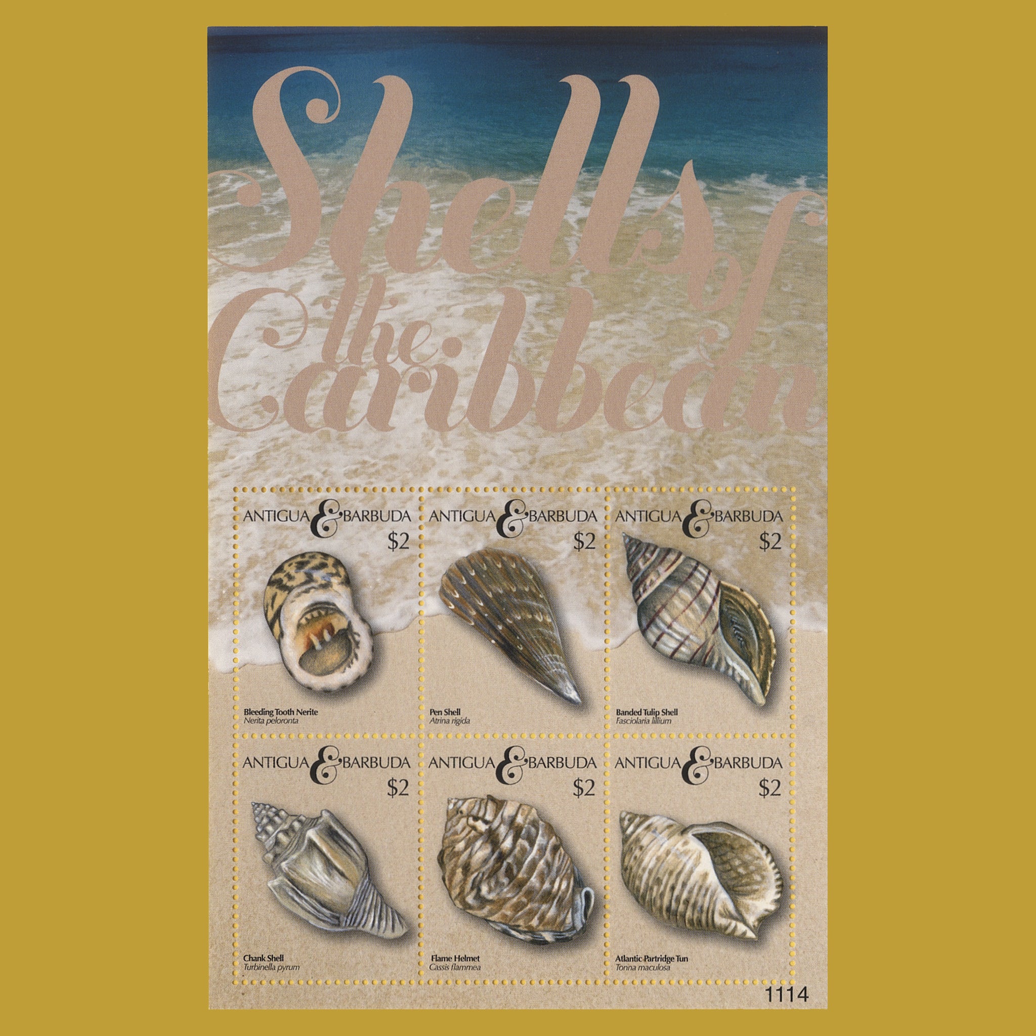 Antigua & Barbuda 2011 (MNH) Shells of the Caribbean sheetlet – ZEBOOSE.COM