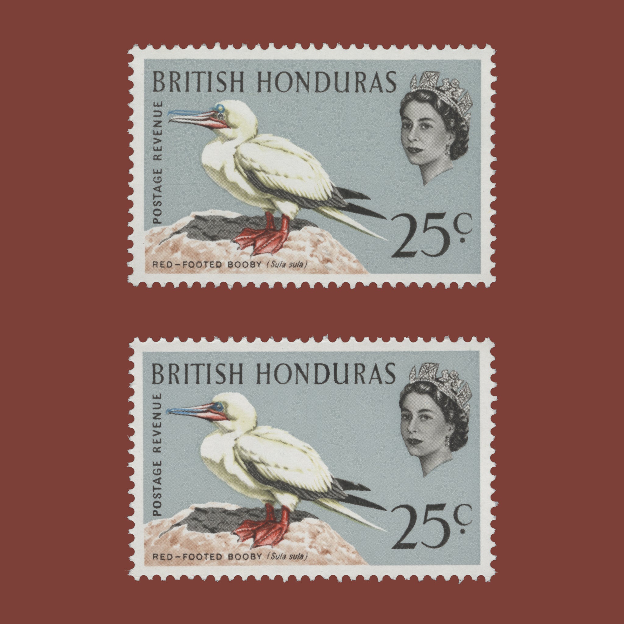 British Honduras 1962 (Variety) 25c Red-Footed Bobby with cyan shift ...