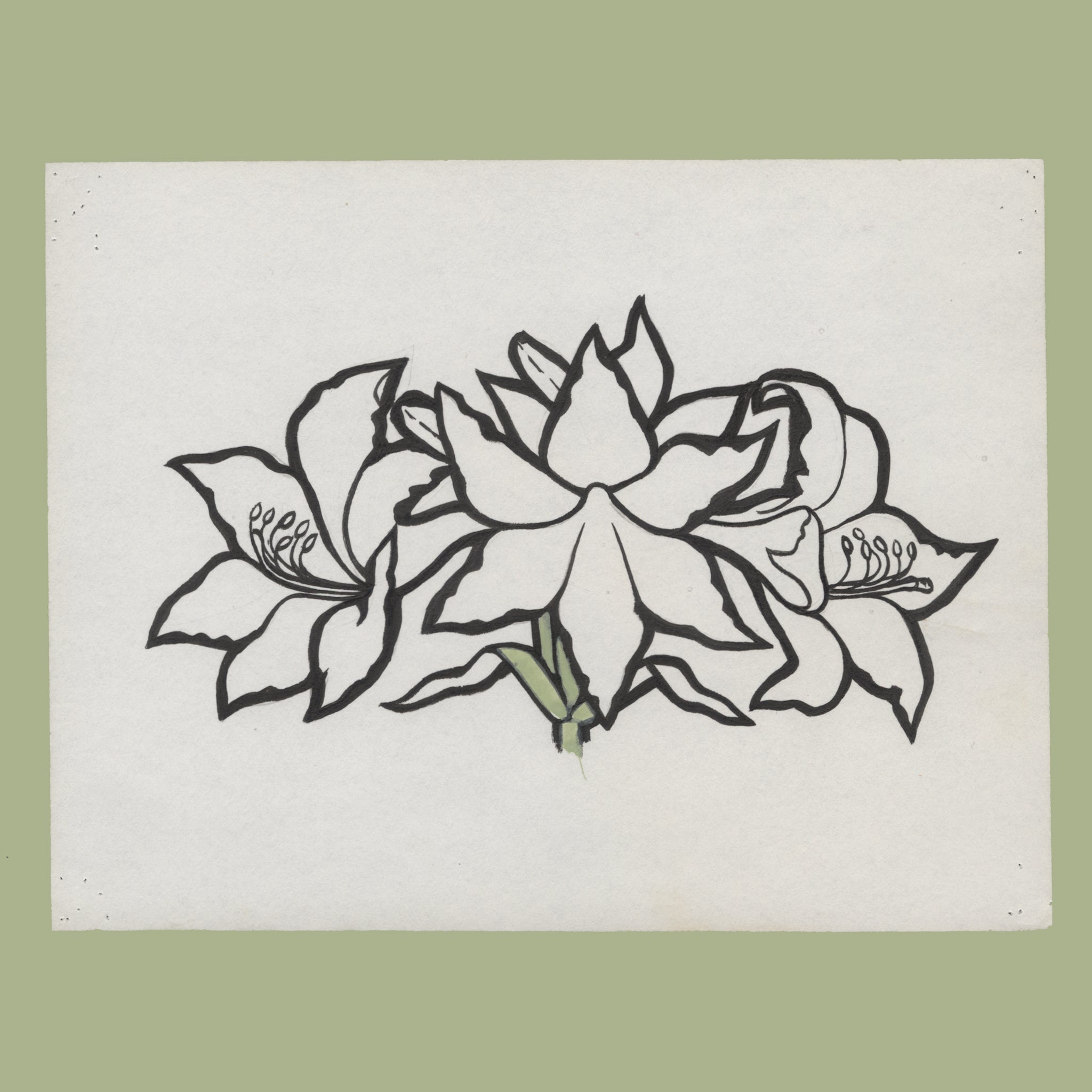 British Honduras 1971 Hippeastrum Equestre pen artwork by Sylvia Goama ...