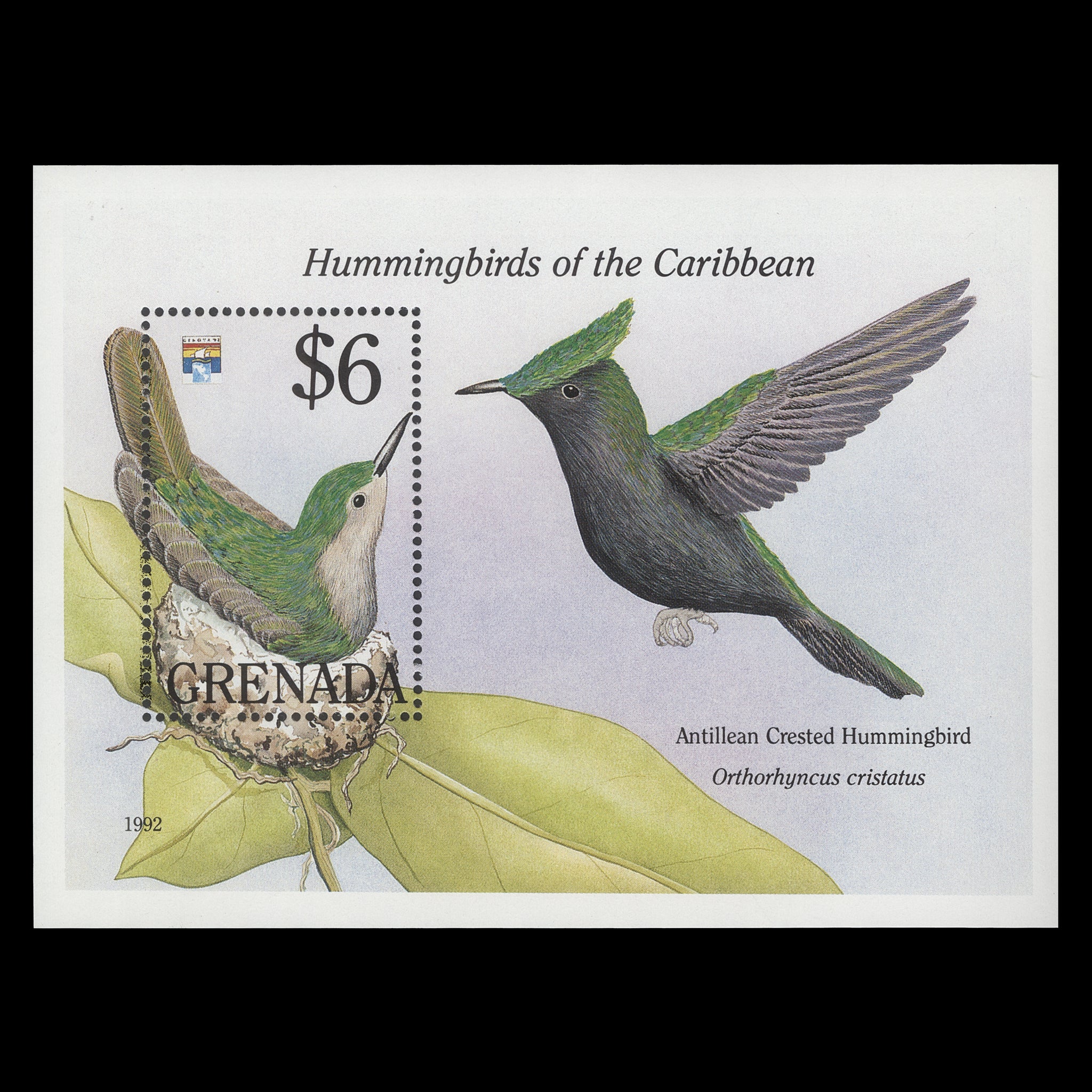 Grenada 1992 (MNH) $6 Antillean Crested Hummingbird miniature sheet ...