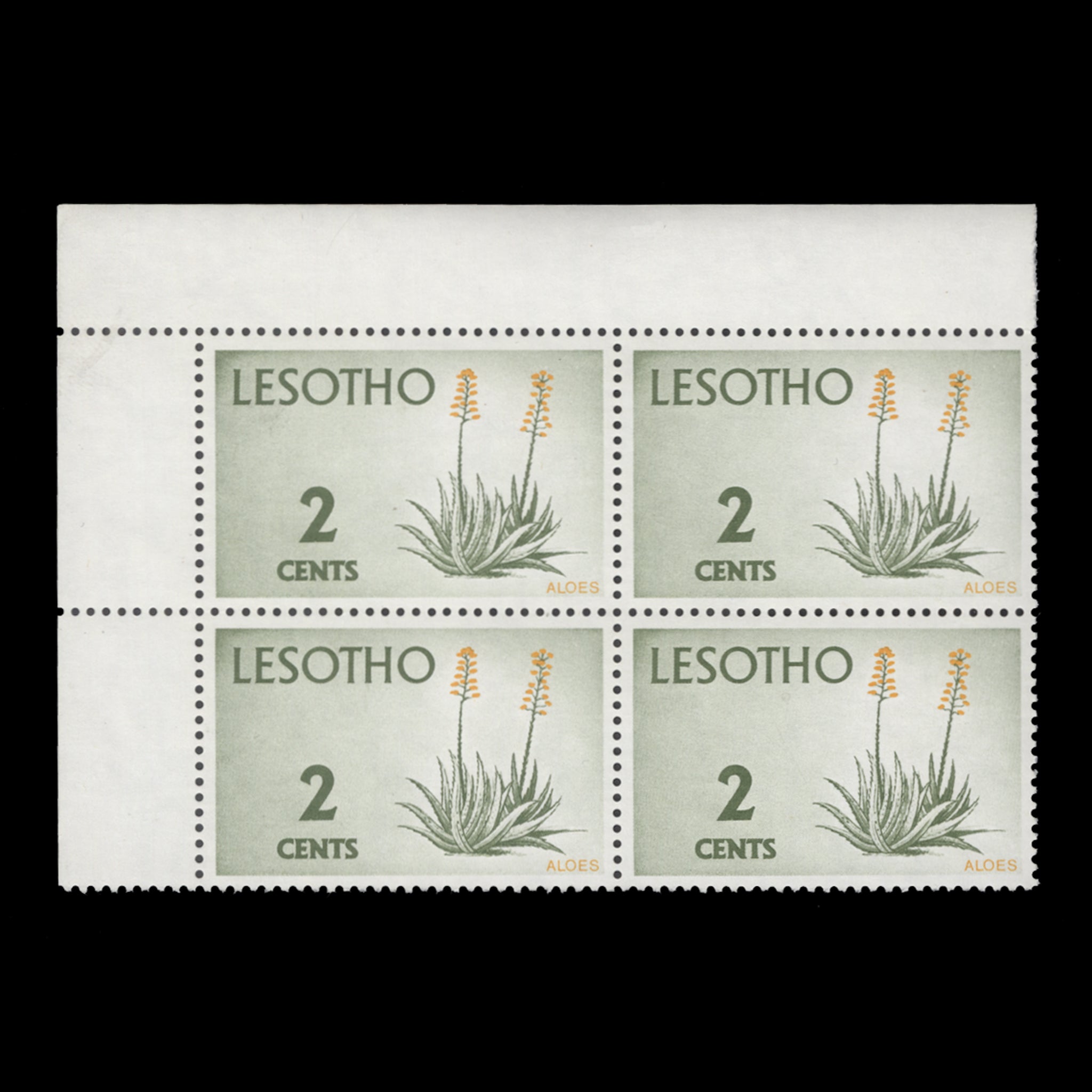 Lesotho 1974 (MNH) 2c Aloes block on chalk-surfaced paper – ZEBOOSE.COM