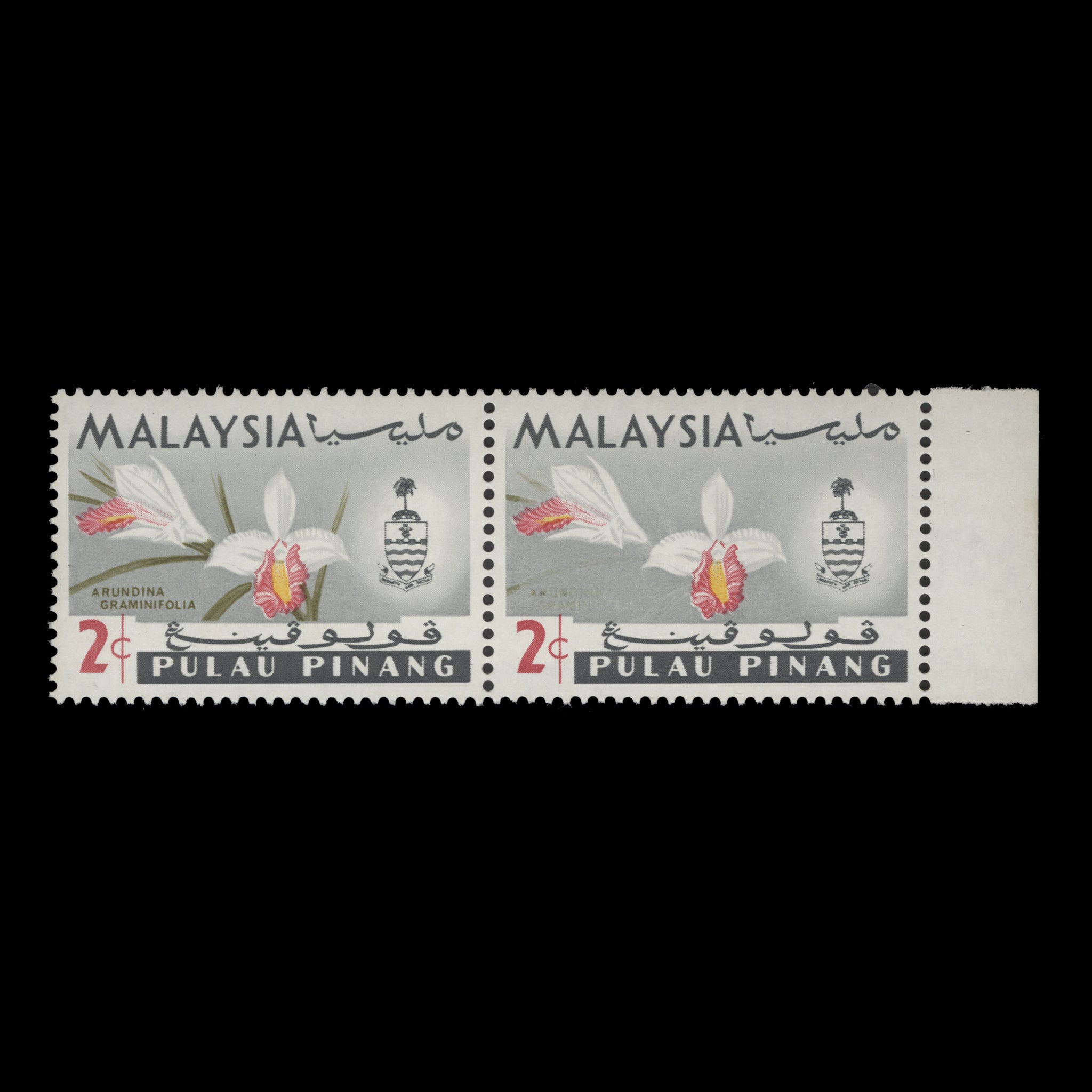 Pulau Pinang 1965 (Variety) 2c Arundina Graminifolia pair virtually mi ...