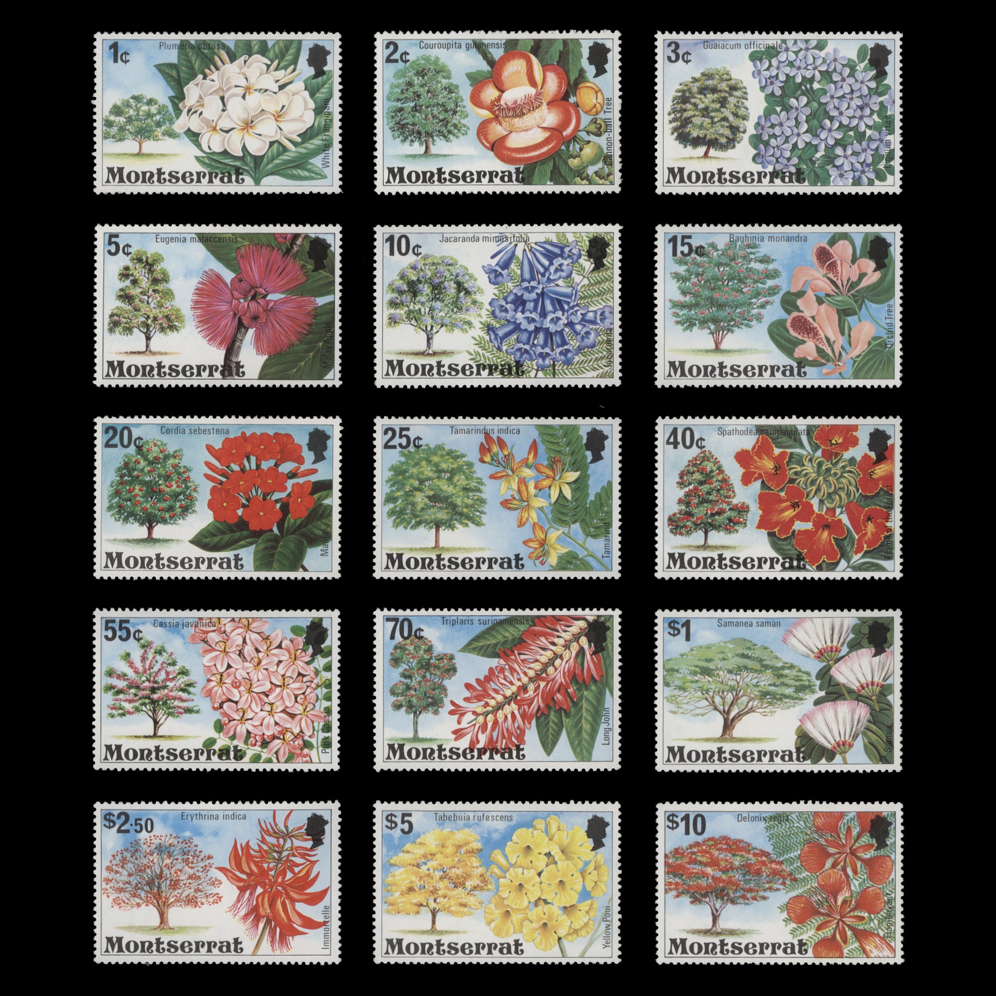 Montserrat 1976-80 Flowers Definitives – ZEBOOSE.COM