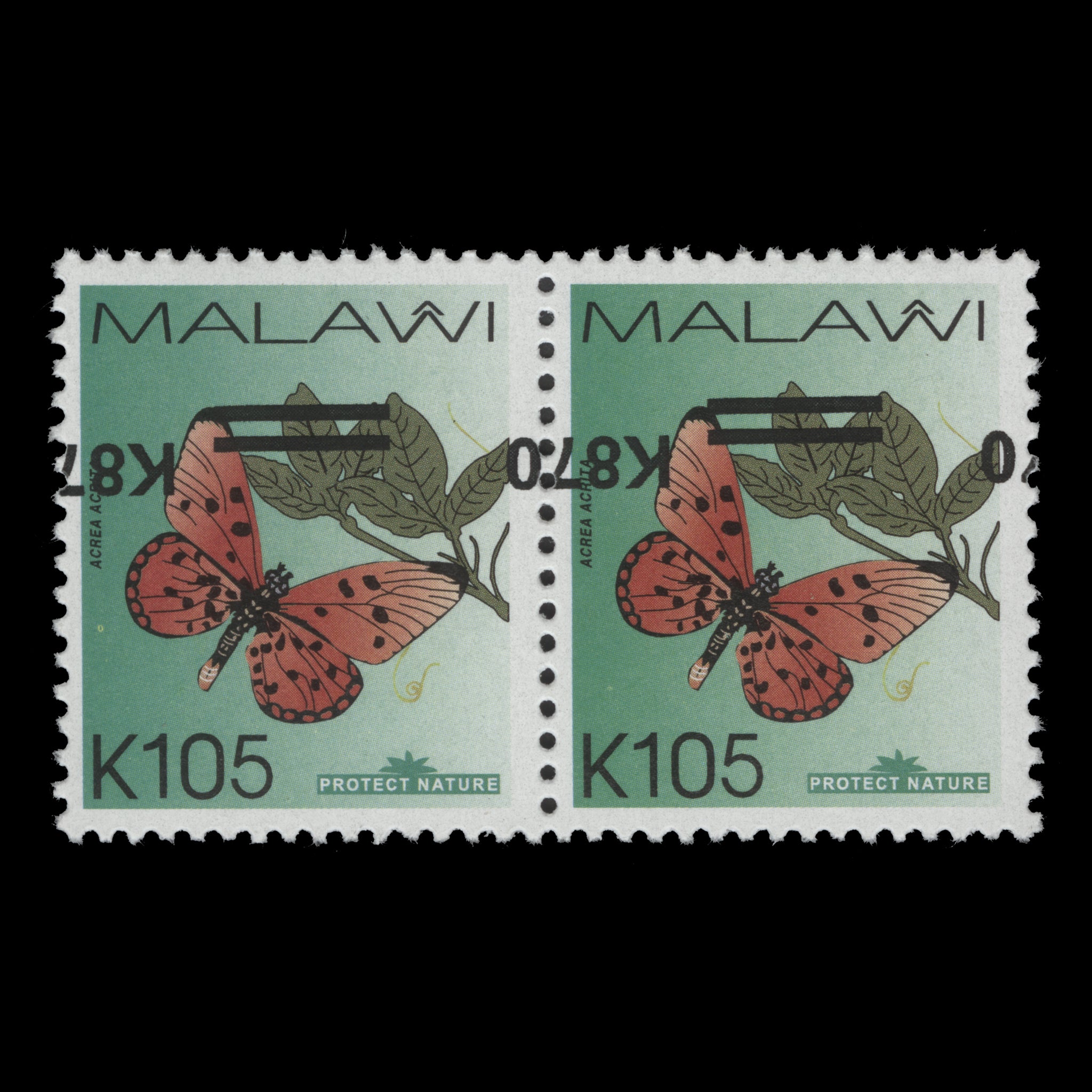 Malawi 2024 (Variety) K870/K105 Acraea Acrita pair with inverted surch ...