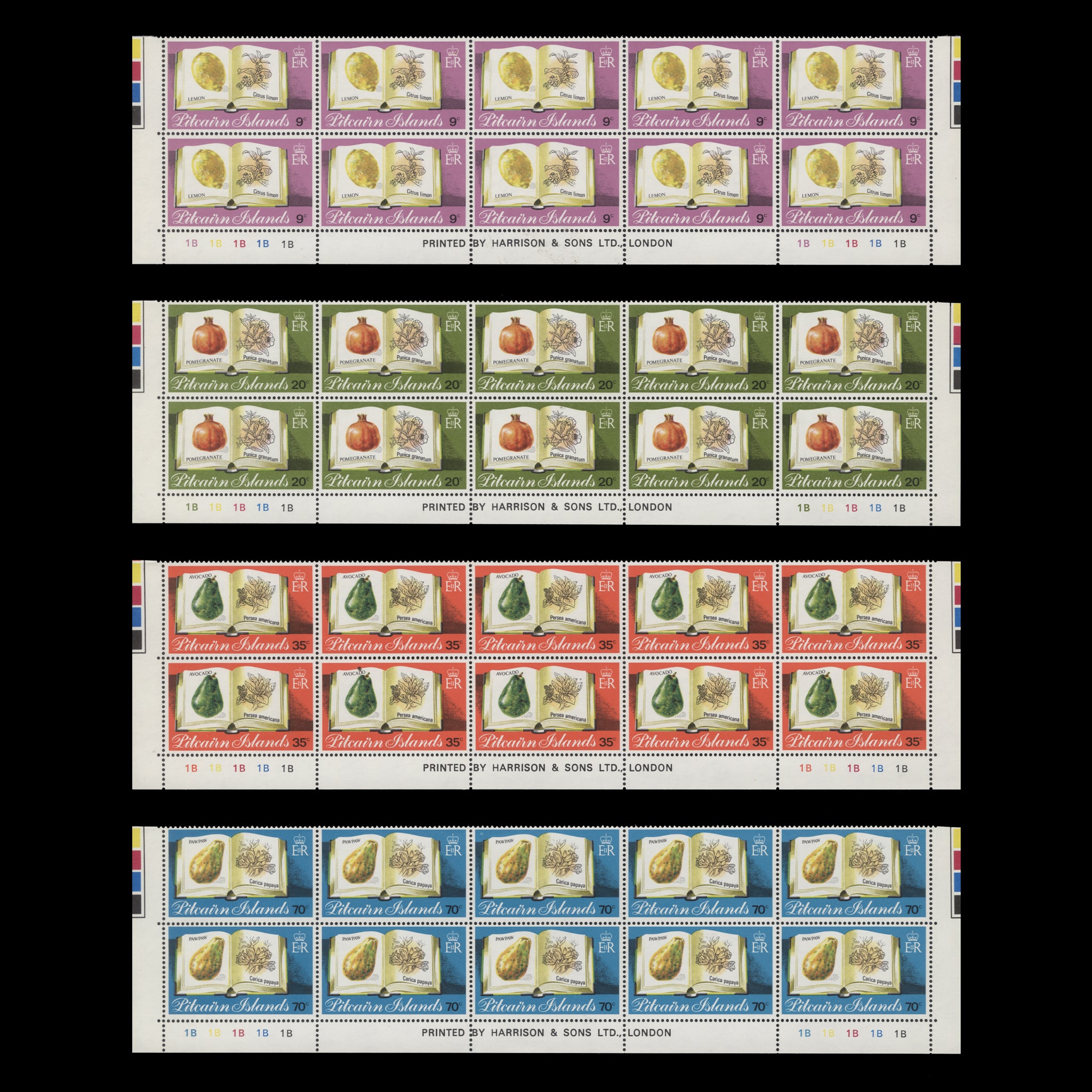 Pitcairn Islands 1982 (MNH) Fruit imprint/plate 1B–1B–1B–1B–1B blocks ...