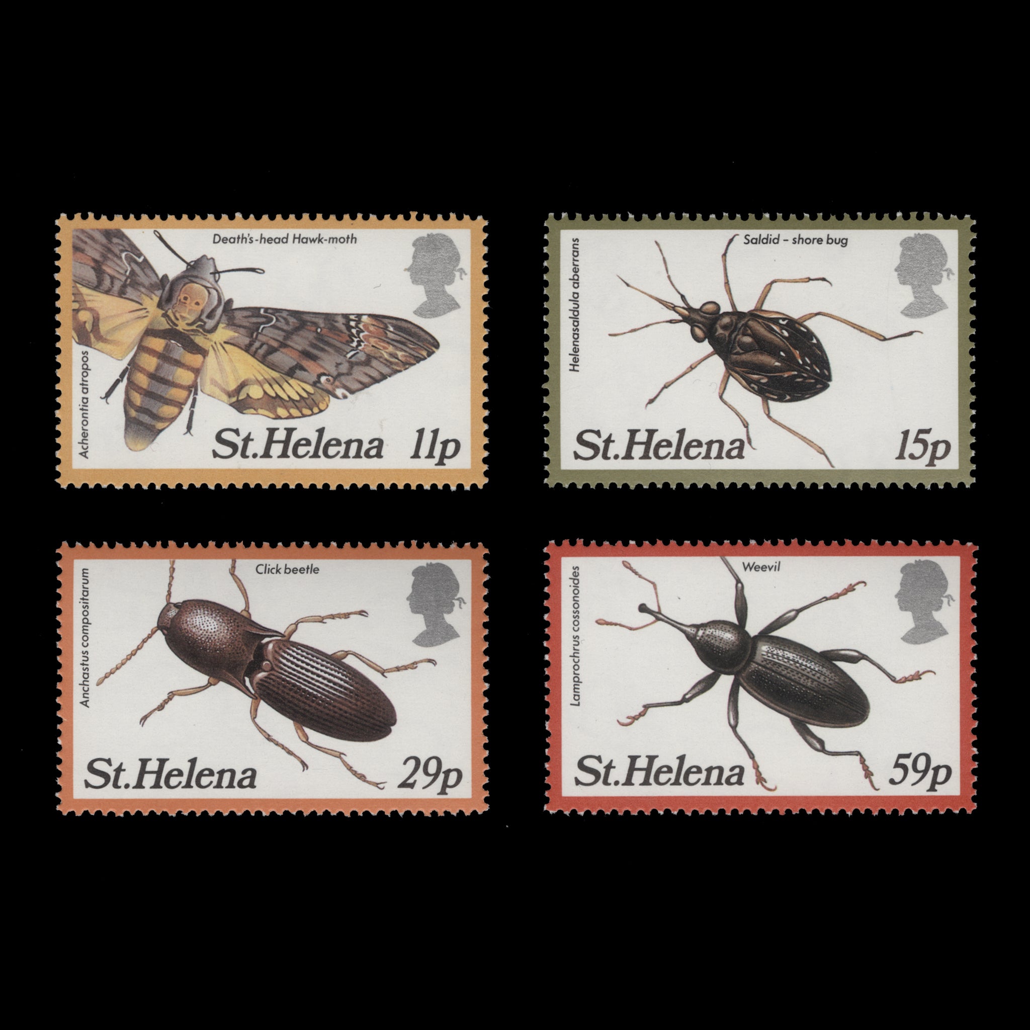 Saint Helena 1983 (MNH) Insects set – ZEBOOSE.COM