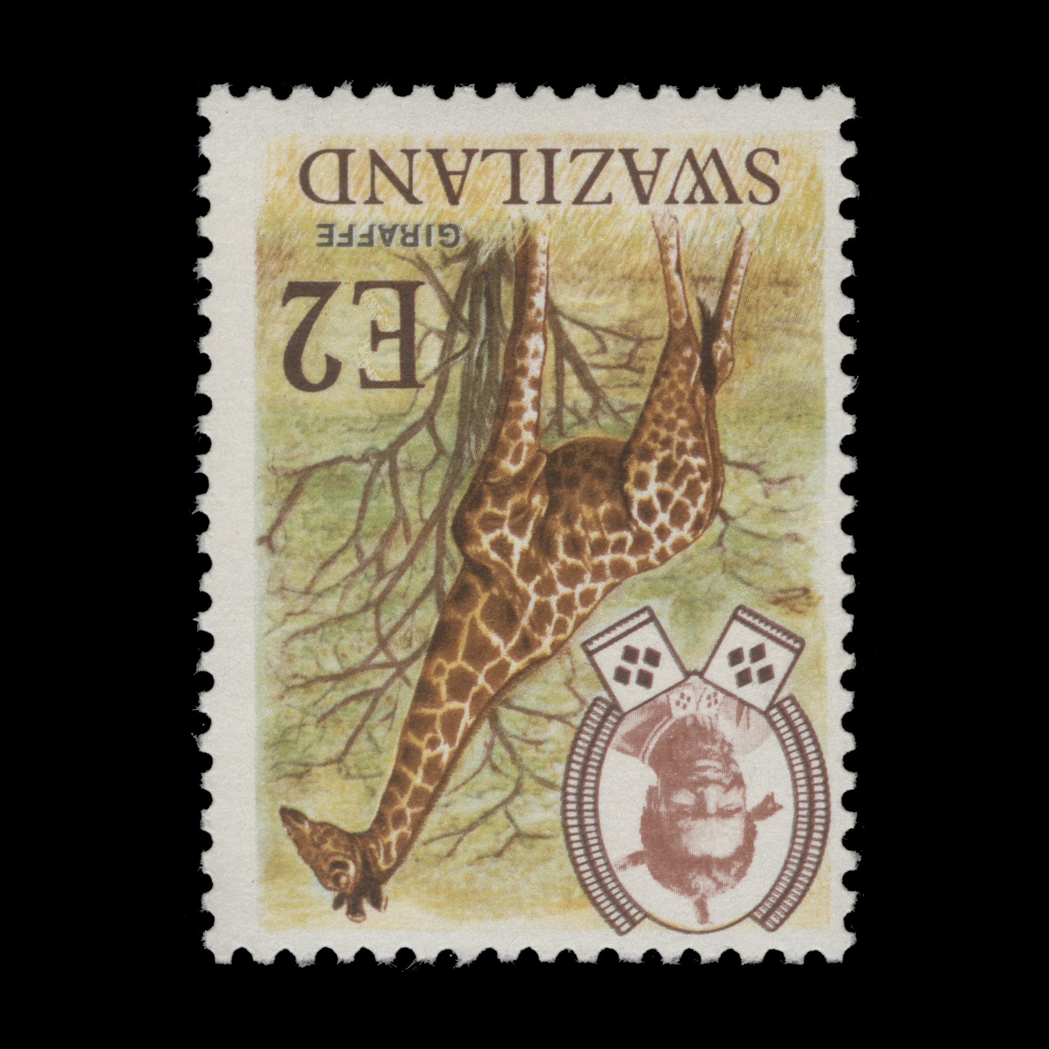 Swaziland 1975 (Variety) E2 Giraffe with inverted watermark – ZEBOOSE.COM
