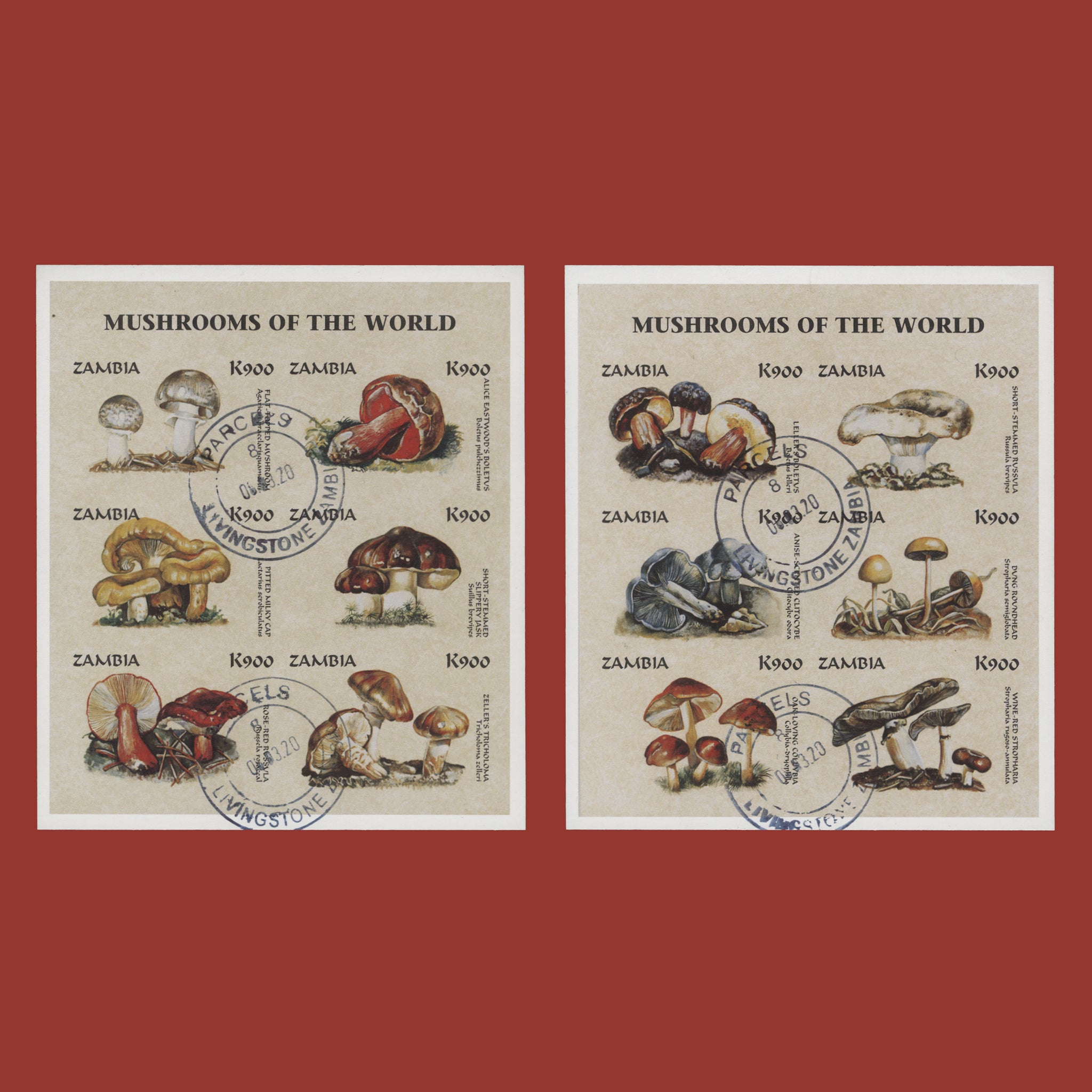 Zambia 1998 (Variety) Mushrooms of the World imperforate miniature she ...