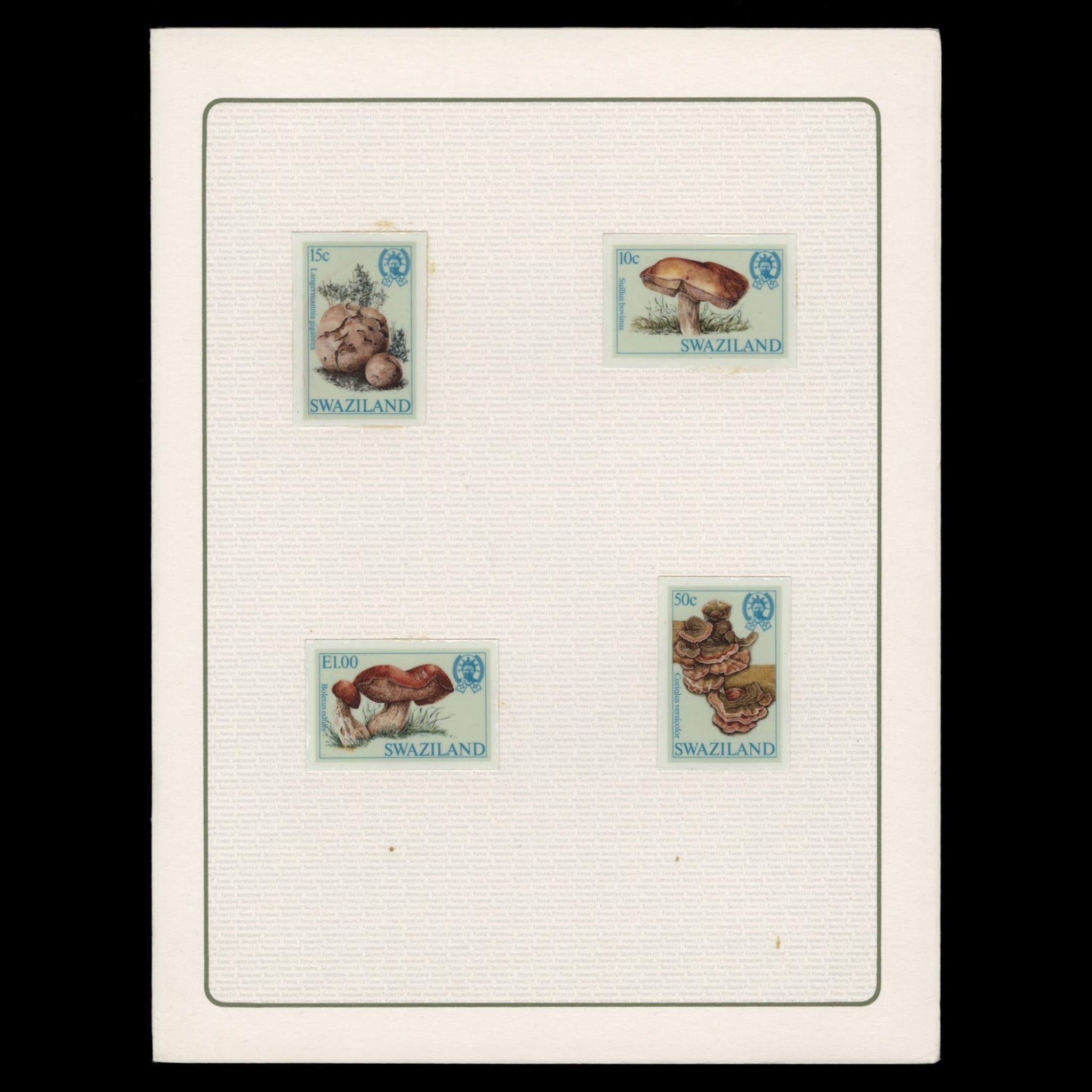 Swaziland 1984 Fungi cromalin proofs in presentation folder – ZEBOOSE.COM