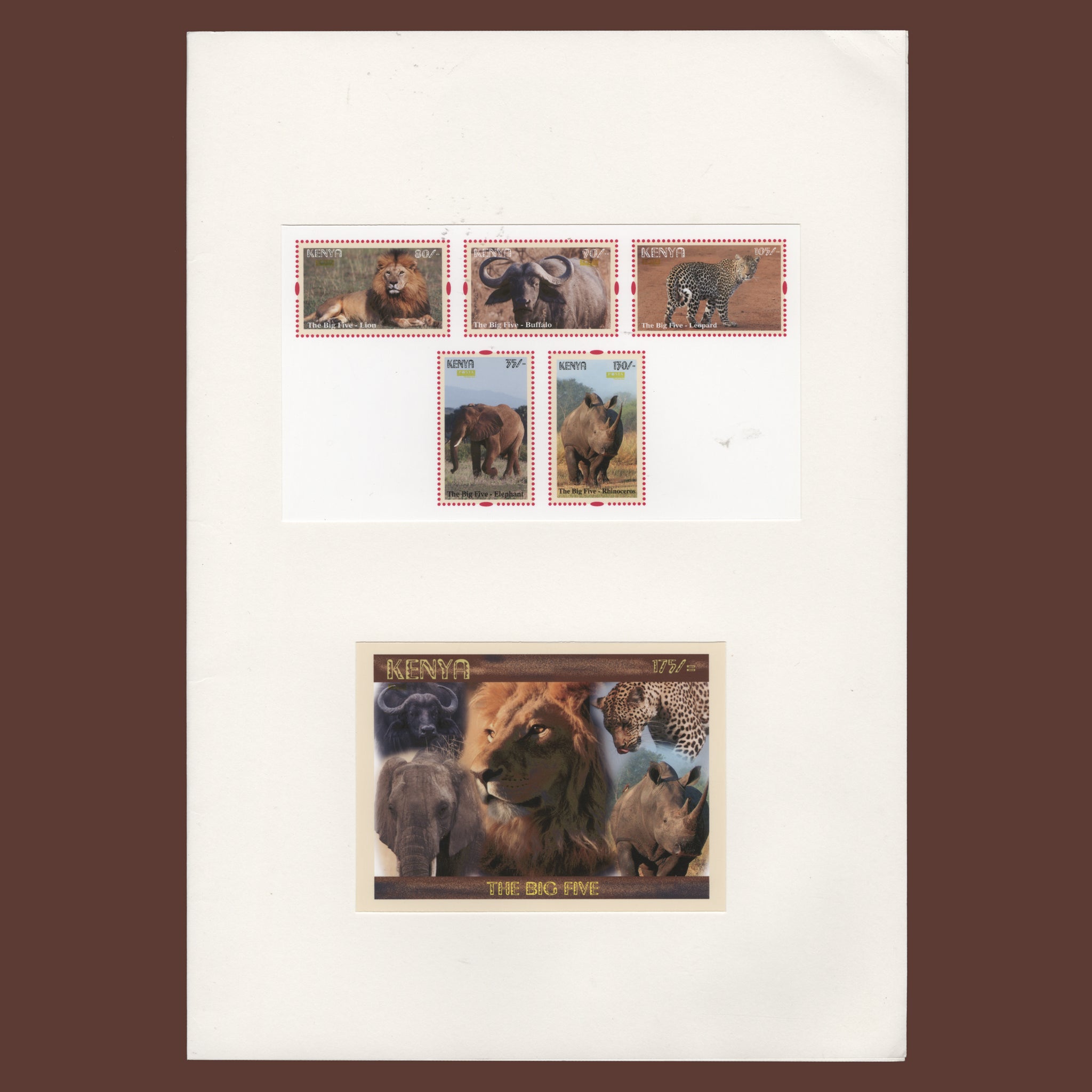 Kenya 2017 The Big Five proofs in Cartor presentation folder – ZEBOOSE.COM